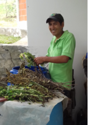 Sano y Organico – Sano y Organico